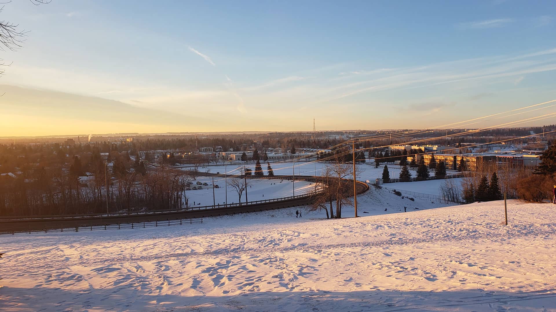 Red Deer – Chinook Cutting